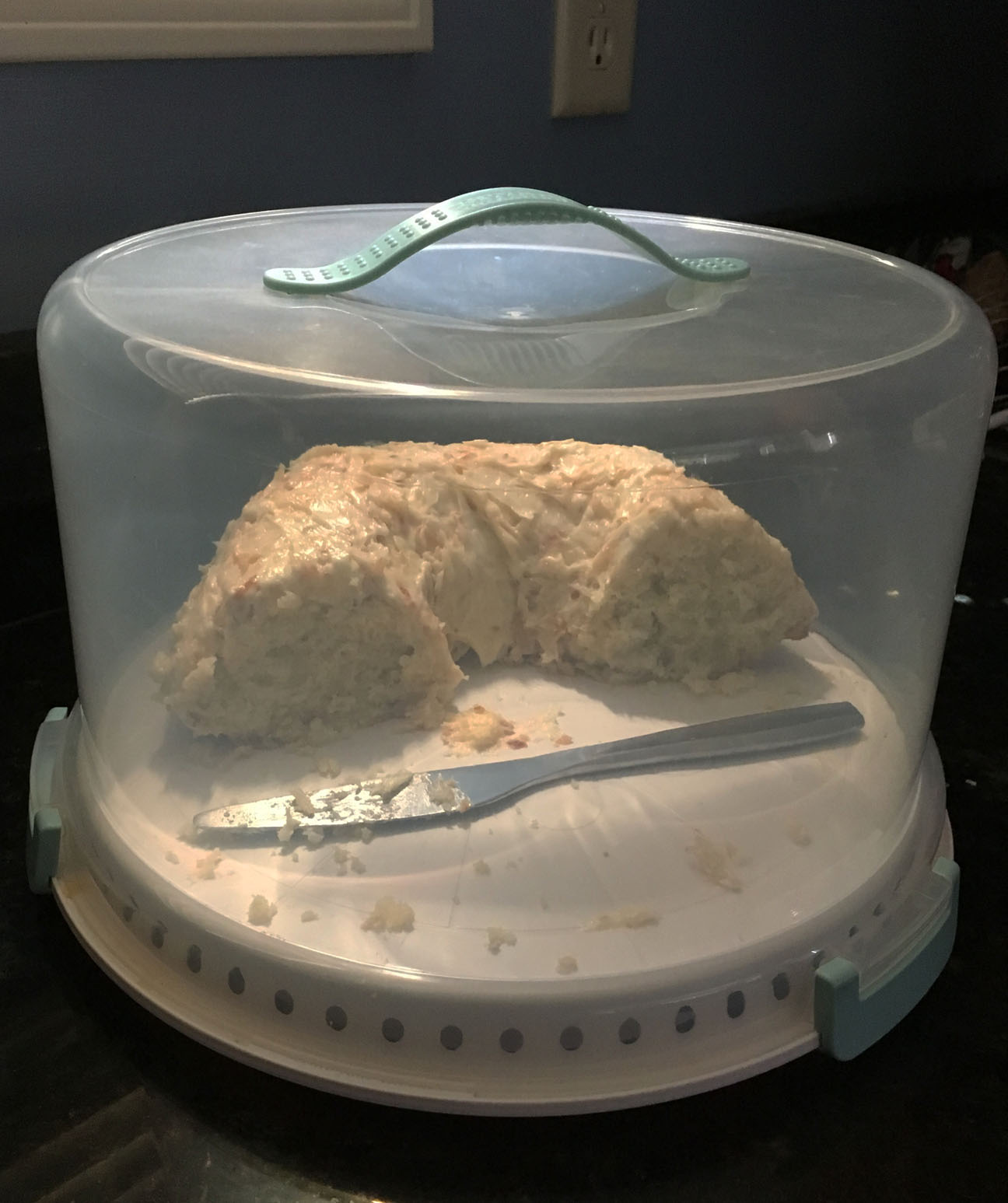 Ginger Coconut Bundt Cake – Baker on the Run
